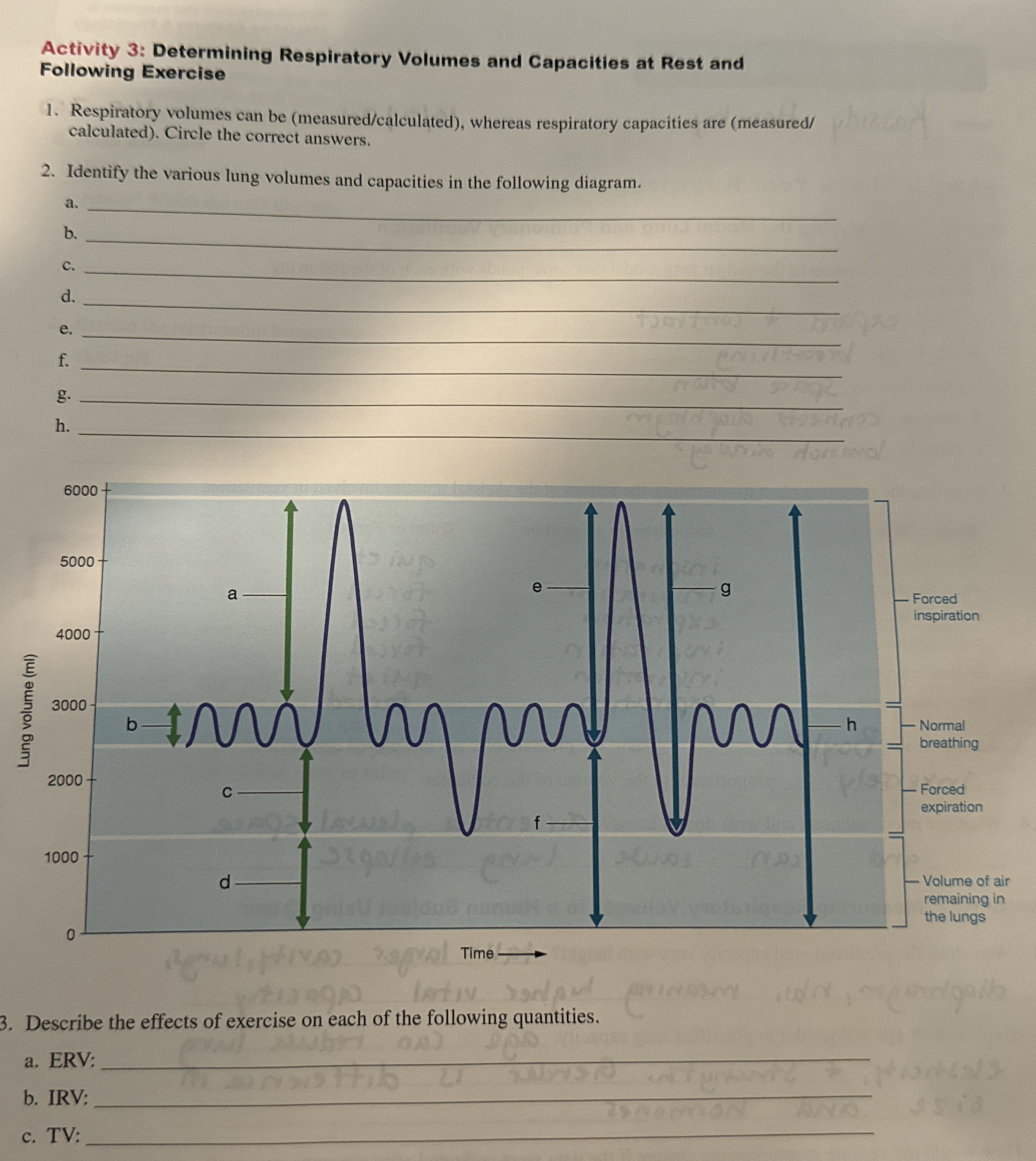 Solved Activity 2: Measuring Respiratory Volumes in a Human | Chegg.com