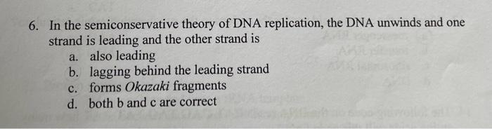 Solved 6. In the semiconservative theory of DNA replication, | Chegg.com