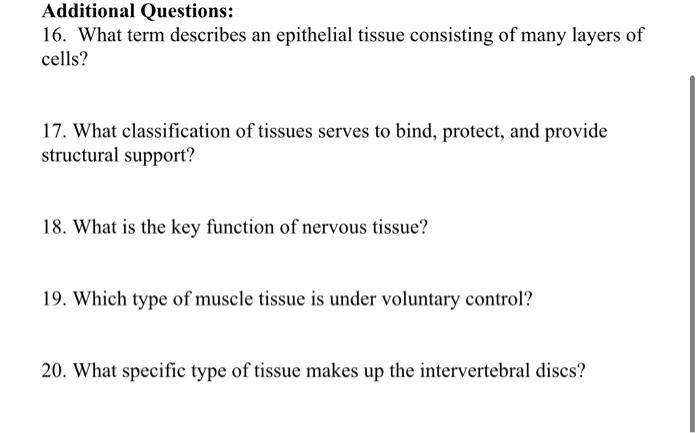 Solved Tissue Identification Worksheet Identify the | Chegg.com