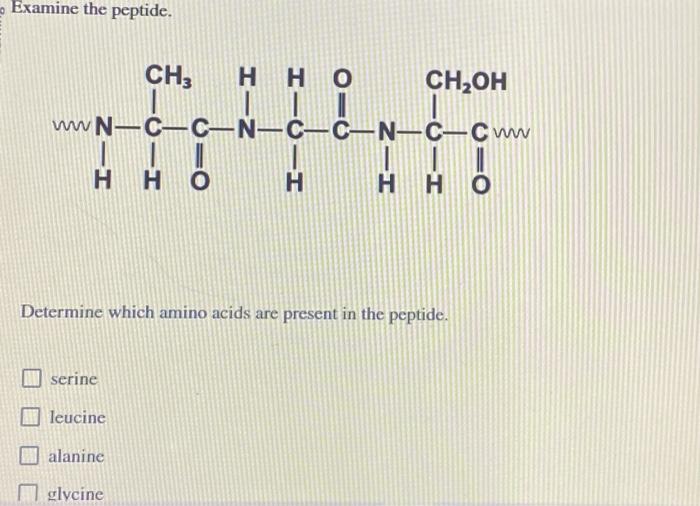 Solved Hello, can you please help me solve this question and | Chegg.com
