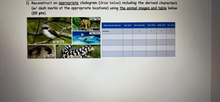 Solved 1) Reconstruct an appropriate cladogram (draw below) | Chegg.com
