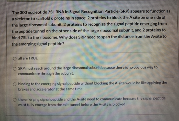 Solved The 300 Nucleotide 7sl Rna In Signal Recognition