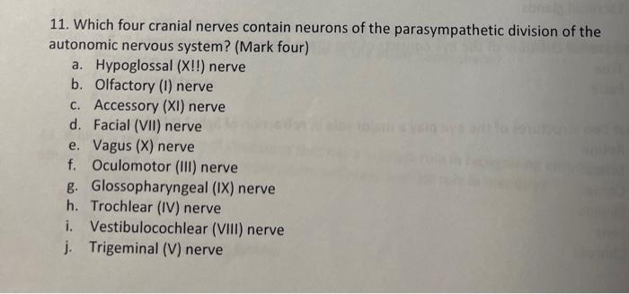 Solved 1. Which functional region of the brain helps | Chegg.com