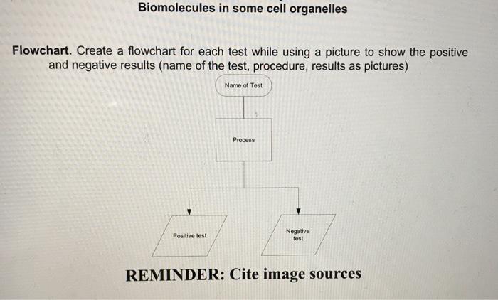 Biomolecules in some cell organelles Flowchart. | Chegg.com