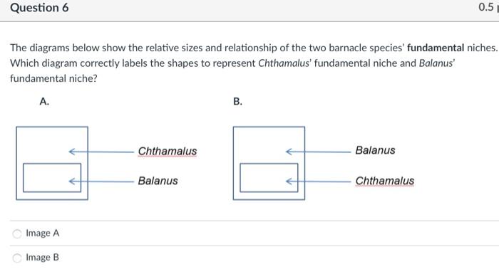 Solved The diagrams below show the relative sizes and | Chegg.com