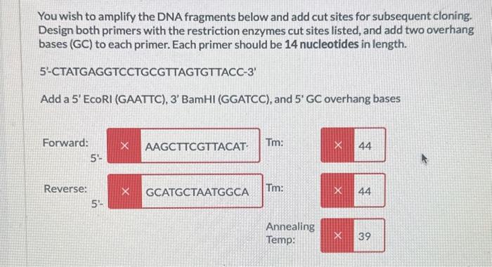 Solved You wish to amplify the DNA fragments below and add | Chegg.com