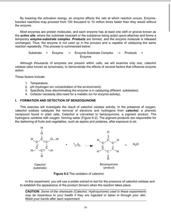 Solved Lab 6 ENZYMES: BIOLOGICAL CATALYSTS OF LIFE | Chegg.com