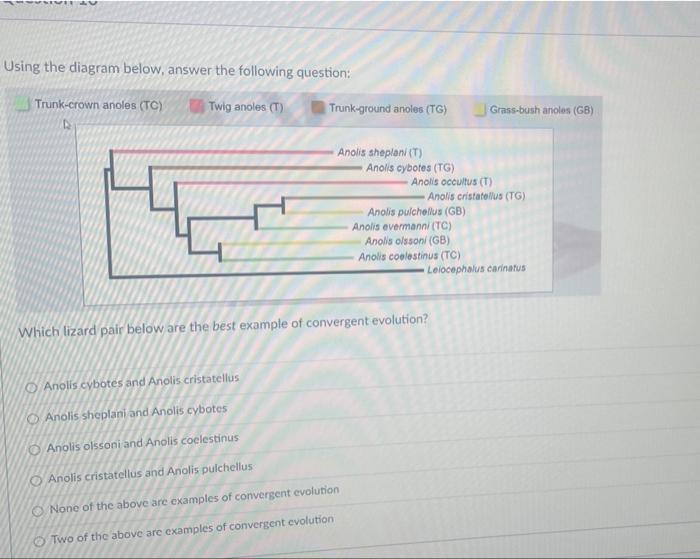 Solved Using the diagram below, answer the following | Chegg.com