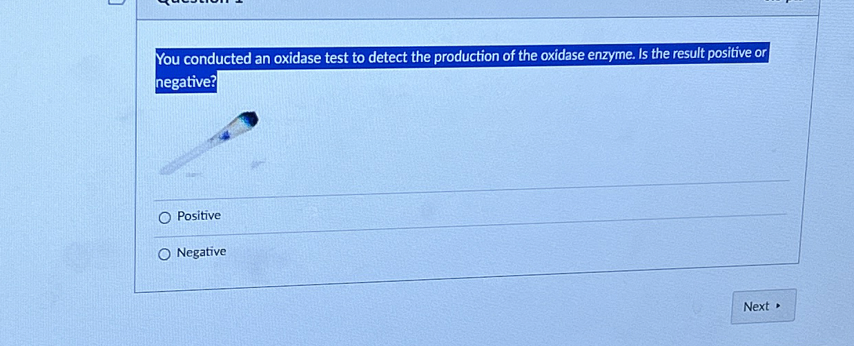 Solved You conducted an oxidase test to detect the | Chegg.com