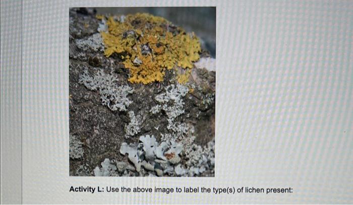 Solved Activity L: Use the above image to label the type(s) | Chegg.com