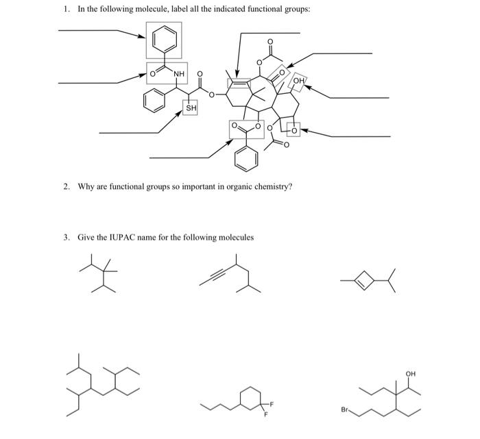 Solved 1. In the following molecule, label all the indicated | Chegg.com