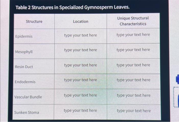 Solved Table 2 Structures in Specialized Gymnosperm Leaves. | Chegg.com