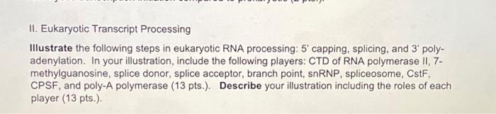 Solved II. Eukaryotic Transcript Processing Illustrate the | Chegg.com