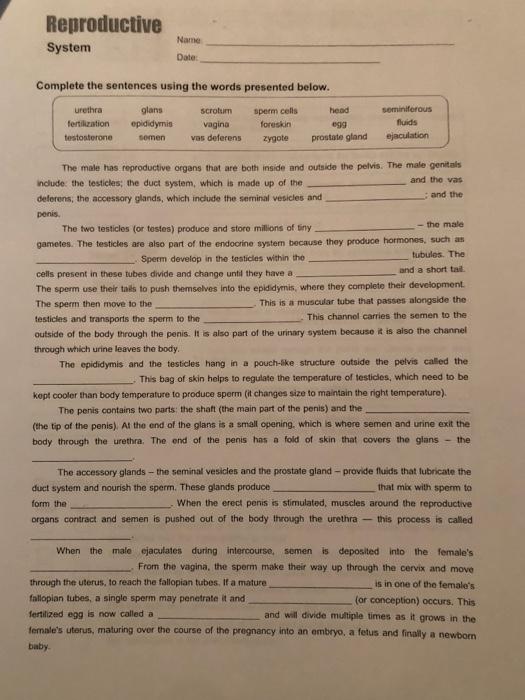 Solved Complete the sentences using the words presented | Chegg.com