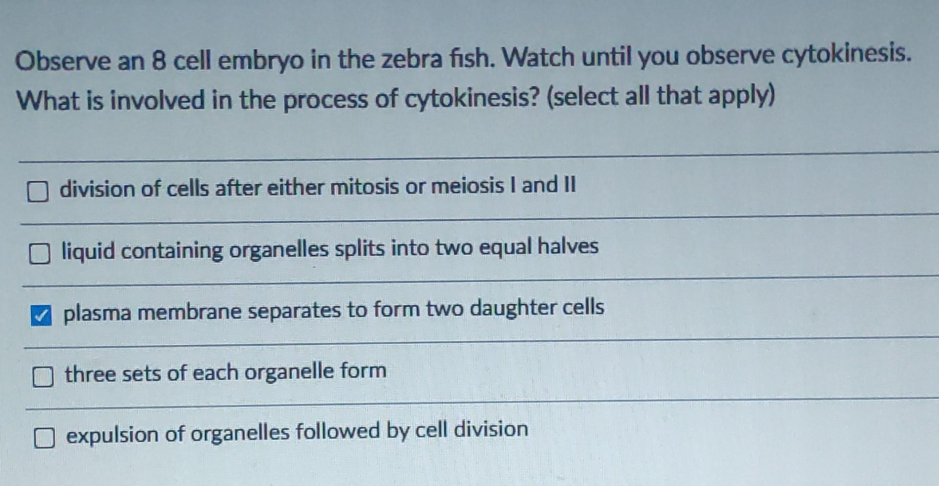 Solved Observe an 8 cell embryo in the zebra fish. Watch | Chegg.com