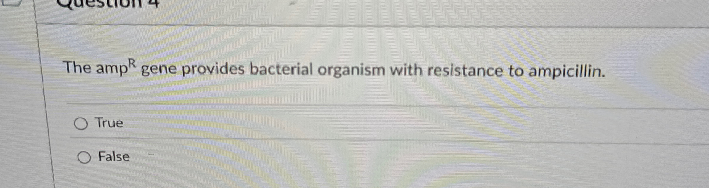 The ampR ﻿gene provides bacterial organism with | Chegg.com