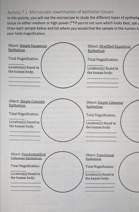 Solved Activity 7.1: Microscopic examination of epithelial | Chegg.com