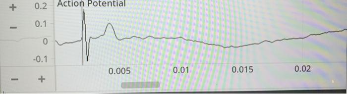 Solved Evoked action potentials Select Annotate to indicate | Chegg.com