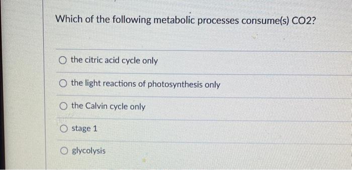 Solved Which of the following metabolic processes consume(s) | Chegg.com