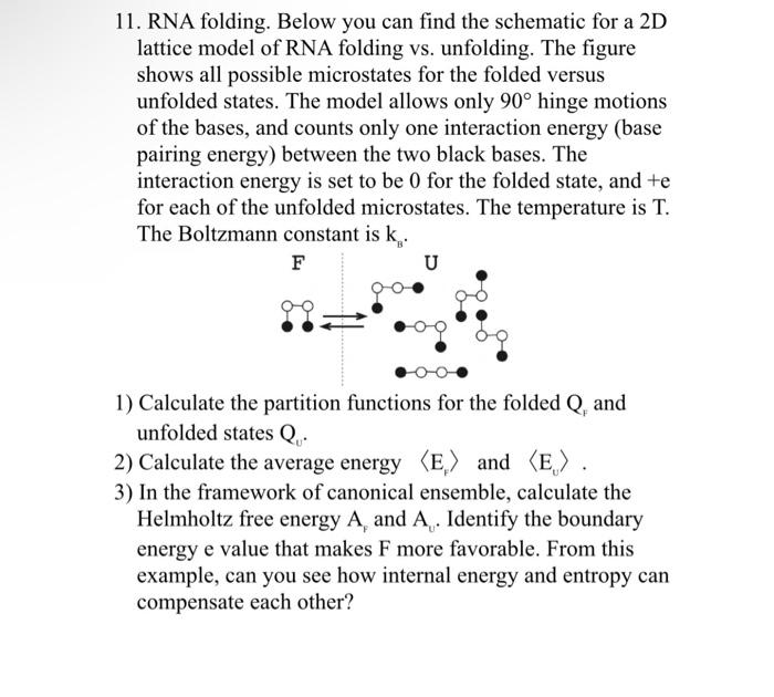 Solved 11. RNA folding. Below you can find the schematic for | Chegg.com