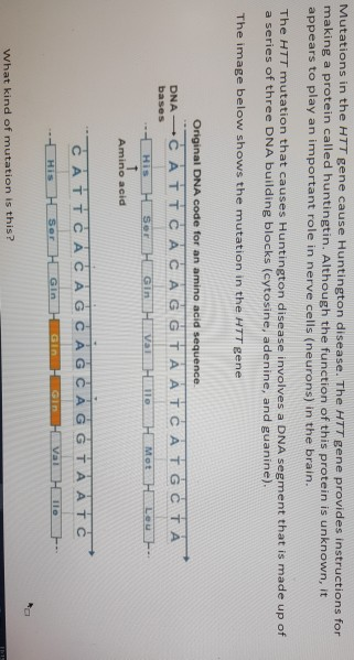 Solved Mutations in the HTT gene cause Huntington disease. | Chegg.com