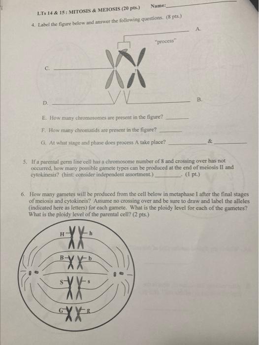 Solved please answer all three and label them 4. Label the | Chegg.com