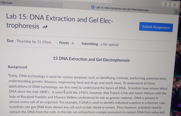 1 Services Lab 15: DNA Extraction and Gel | Chegg.com