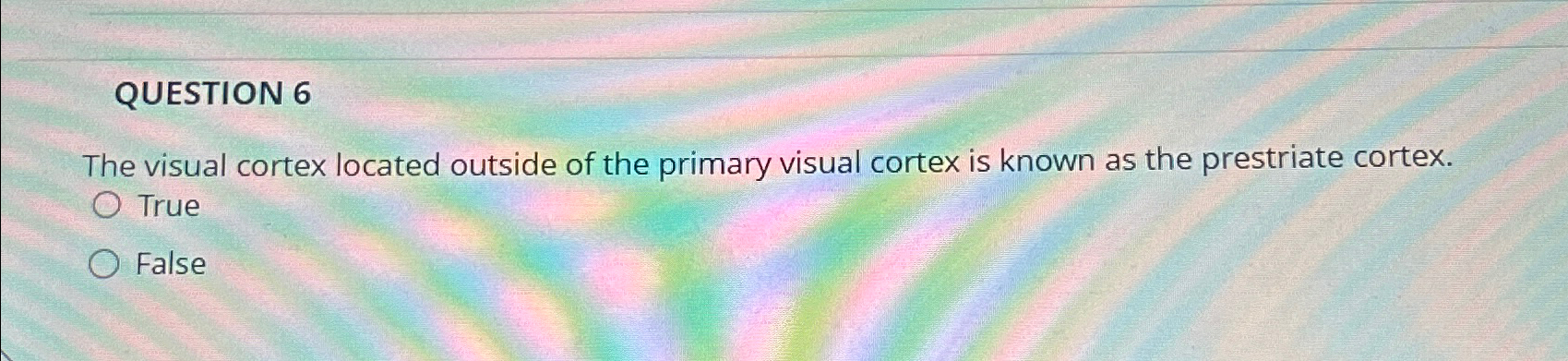 Solved QUESTION 6The visual cortex located outside of the | Chegg.com