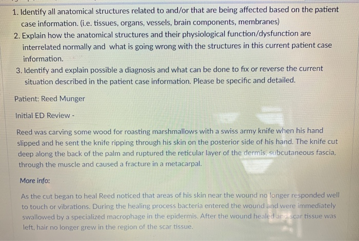 Solved 1. Identify all anatomical structures related to | Chegg.com