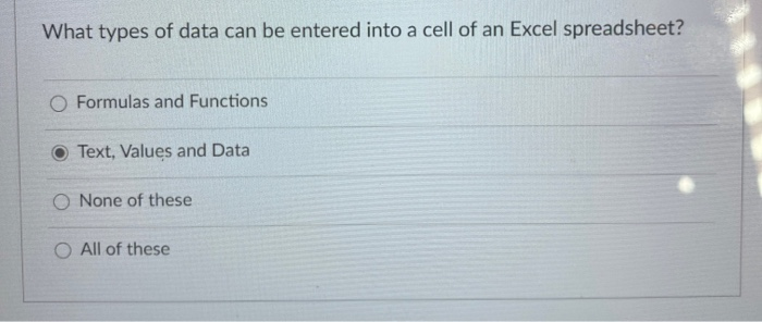 Solved What types of data can be entered into a cell of an | Chegg.com