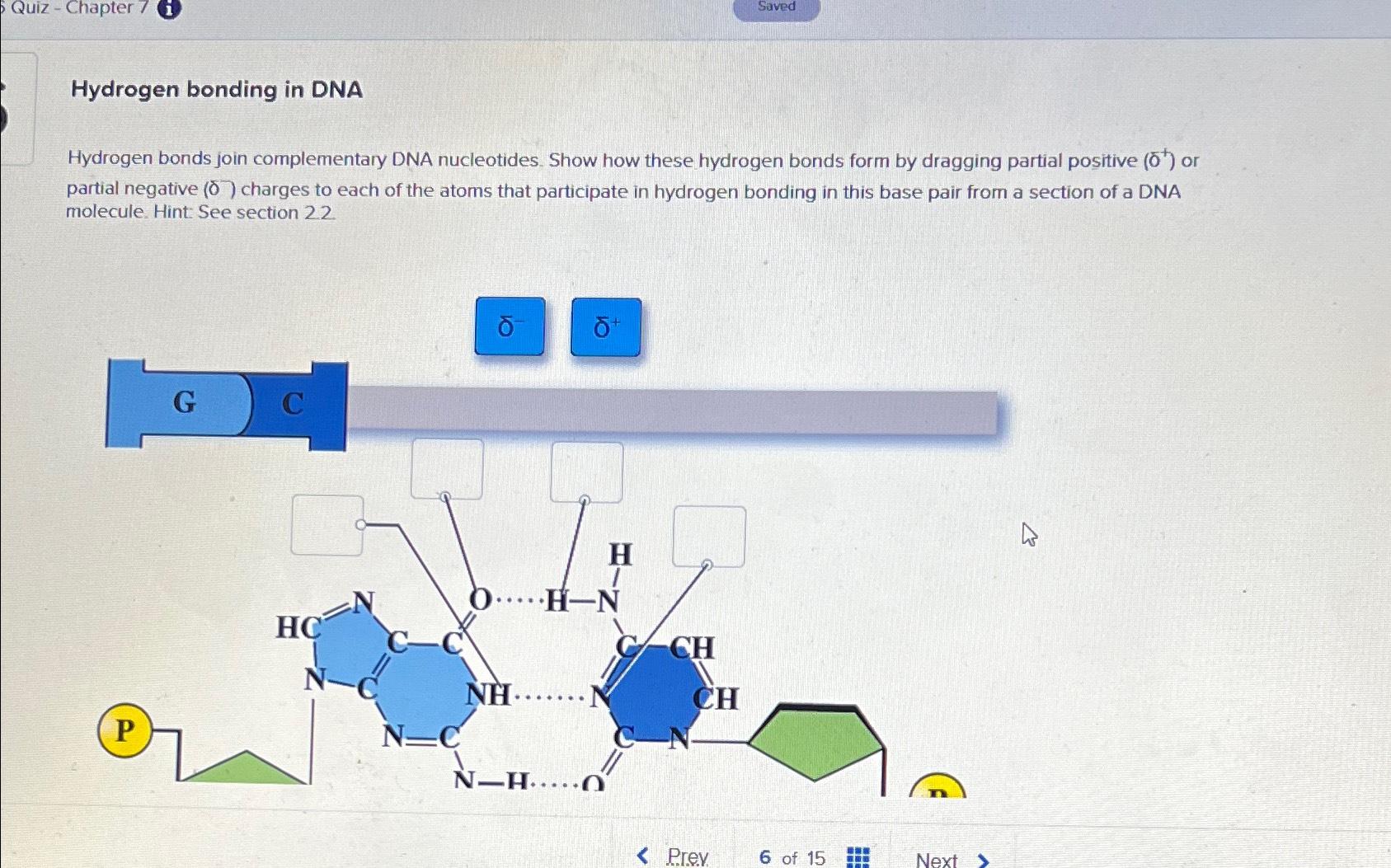 Solved Hydrogen bonding in DNAHydrogen bonds join | Chegg.com