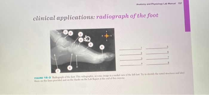 Solved Anatomy and Physiology Lab Manual 157 clinical | Chegg.com