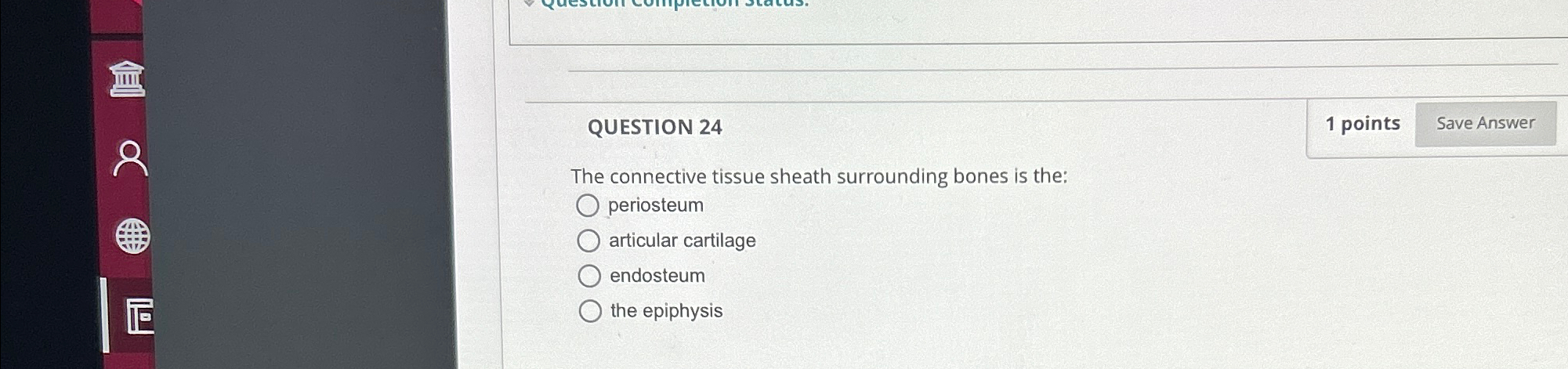 Solved QUESTION 241 ﻿pointsThe connective tissue sheath | Chegg.com