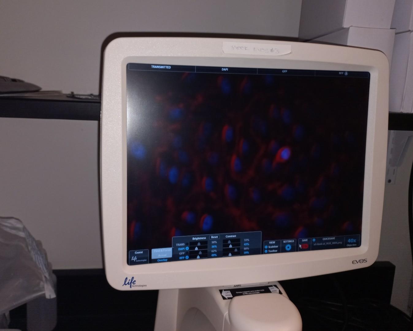 Solved 8: Acquiring Images with EVOS Microscope Lab Goal: - | Chegg.com