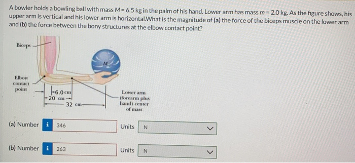 Solved A bowler holds a bowling ball with mass M = 6,5 kg in | Chegg.com