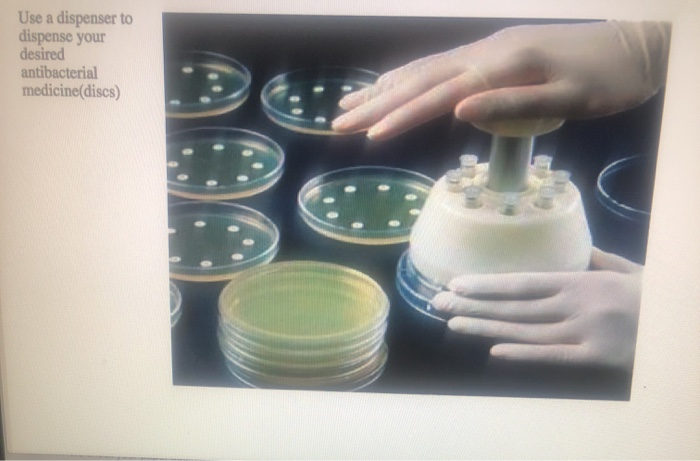 Antibacterial Test Use Aseptic techniques . | Chegg.com