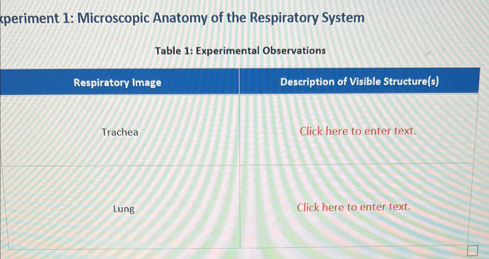 Solved keriment 1: Microscopic Anatomy of the Respiratory | Chegg.com