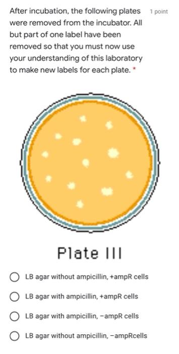 Solved After incubation, the following plates 7 point were | Chegg.com