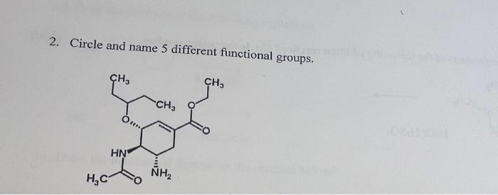 Solved 2. Circle and name 5 different functional groups. | Chegg.com