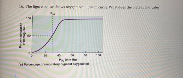 Solved 16. The figure below shows oxygen equilibrium curve. | Chegg.com