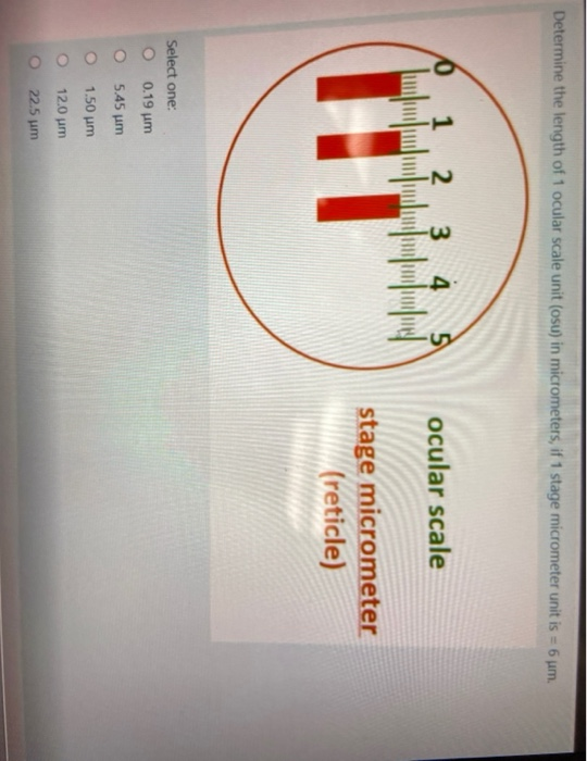 Solved Determine the length of 1 ocular scale unit (osu) in | Chegg.com