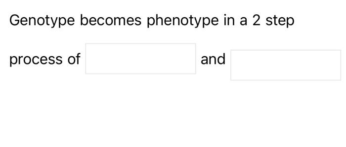 Solved Genotype becomes phenotype in a 2 step process of and | Chegg.com
