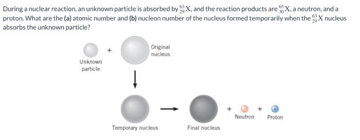Solved During a nuclear reaction, an unknown particle is | Chegg.com