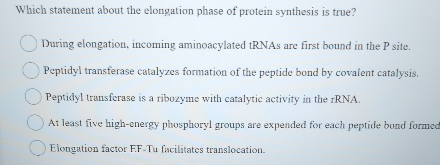 Solved Which statement about the elongation phase of protein | Chegg.com