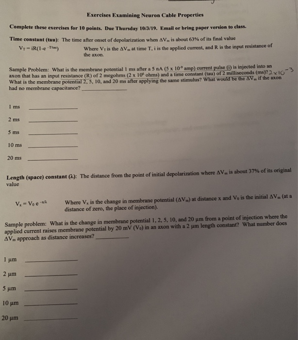 Solved Exercises Examining Neuron Cable Properties Complete | Chegg.com