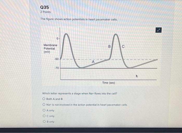 Solved The figure shows action potentials in heart pacemaker | Chegg.com Solved The figure shows action potentials in heart pacemaker | Chegg.com