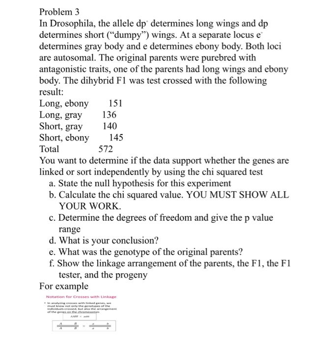 Solved Problem 3 In Drosophila, the allele dp determines | Chegg.com