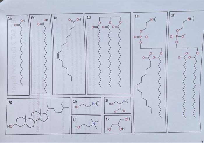 Solved Question 1 [15 marks] a) Sort compounds 1a to 1c in | Chegg.com