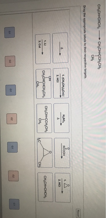 Solved CH,CH=CHCH, CH CHEÇCHCH CHE Drag the appropriate | Chegg.com