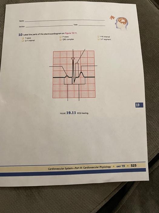 Solved Name Section Date Check Your Recall 1 The heart | Chegg.com